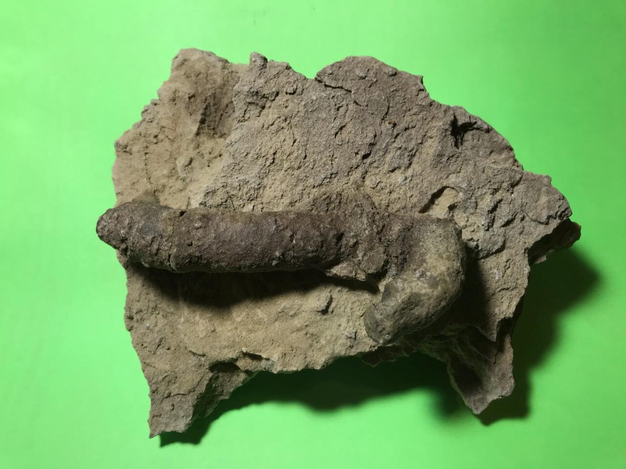 Cretaceous Turtle Poop - Etsy