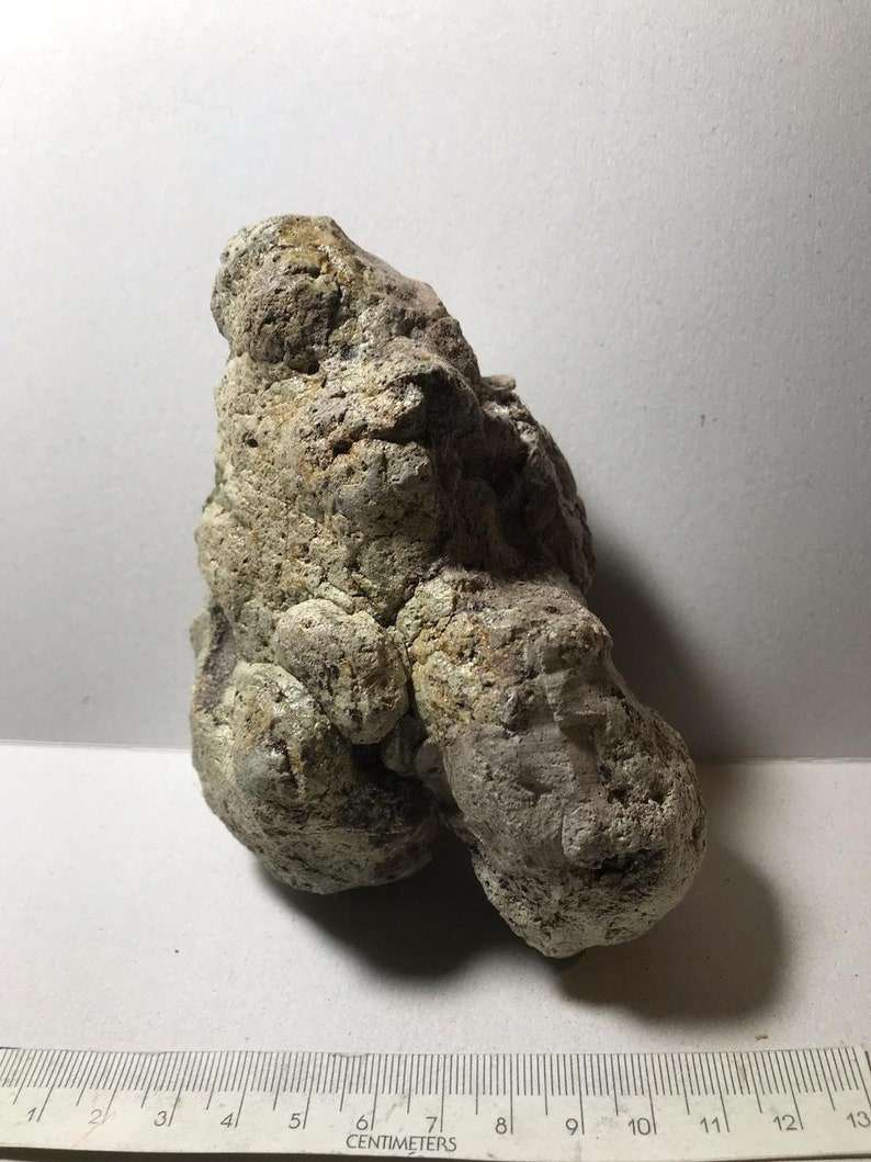 Dinosaur Poop | Etsy