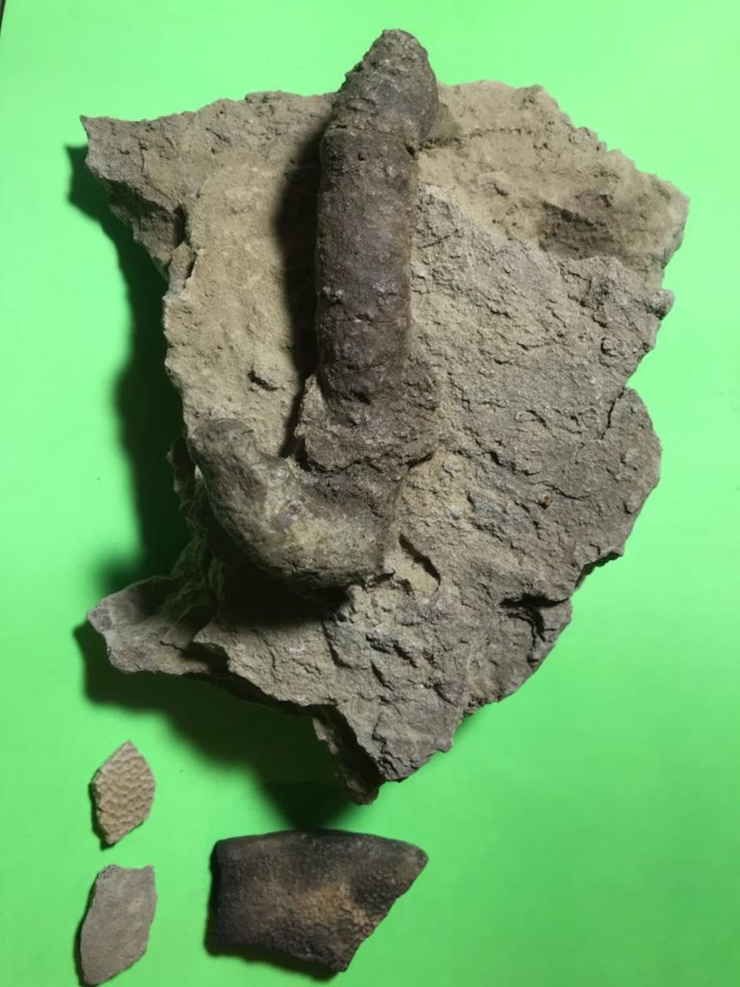 Cretaceous Turtle Poop - Etsy