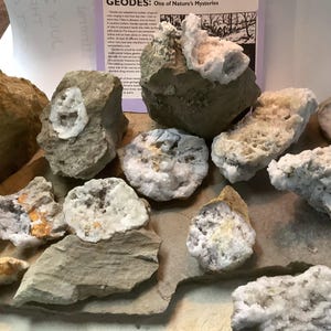 Collection of Indiana Geodes - Etsy