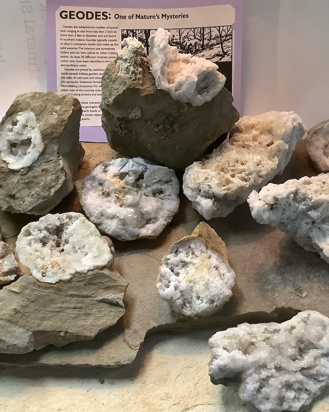 Collection of Indiana Geodes - Etsy