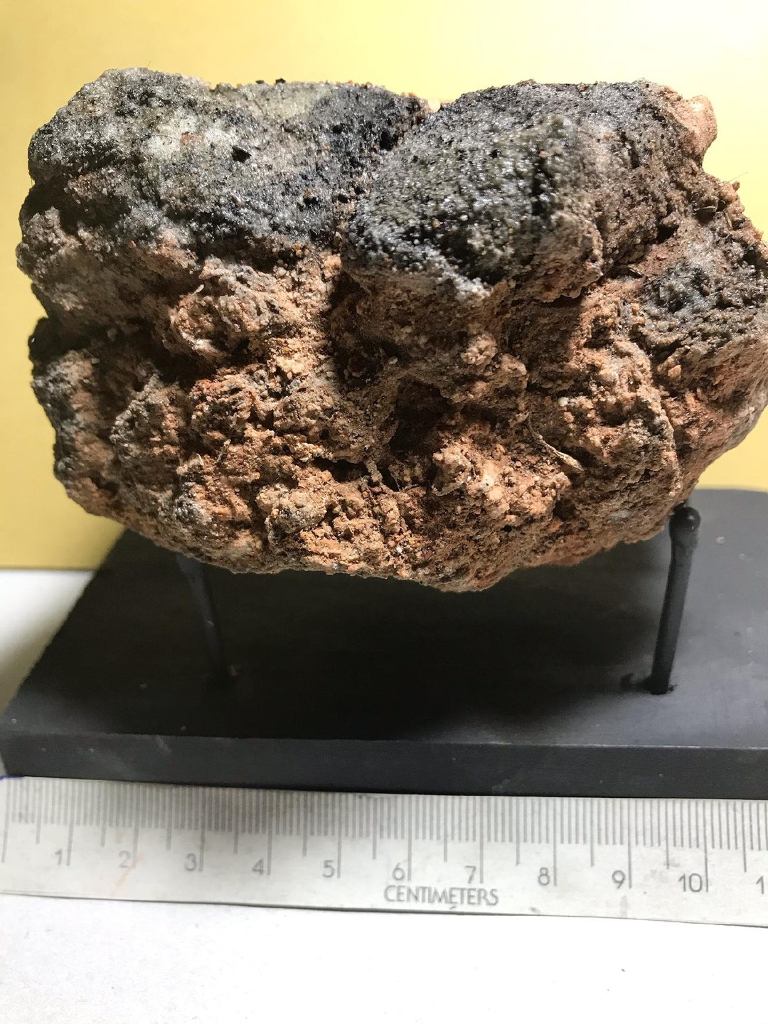 Colorful Primordial Slime - Etsy