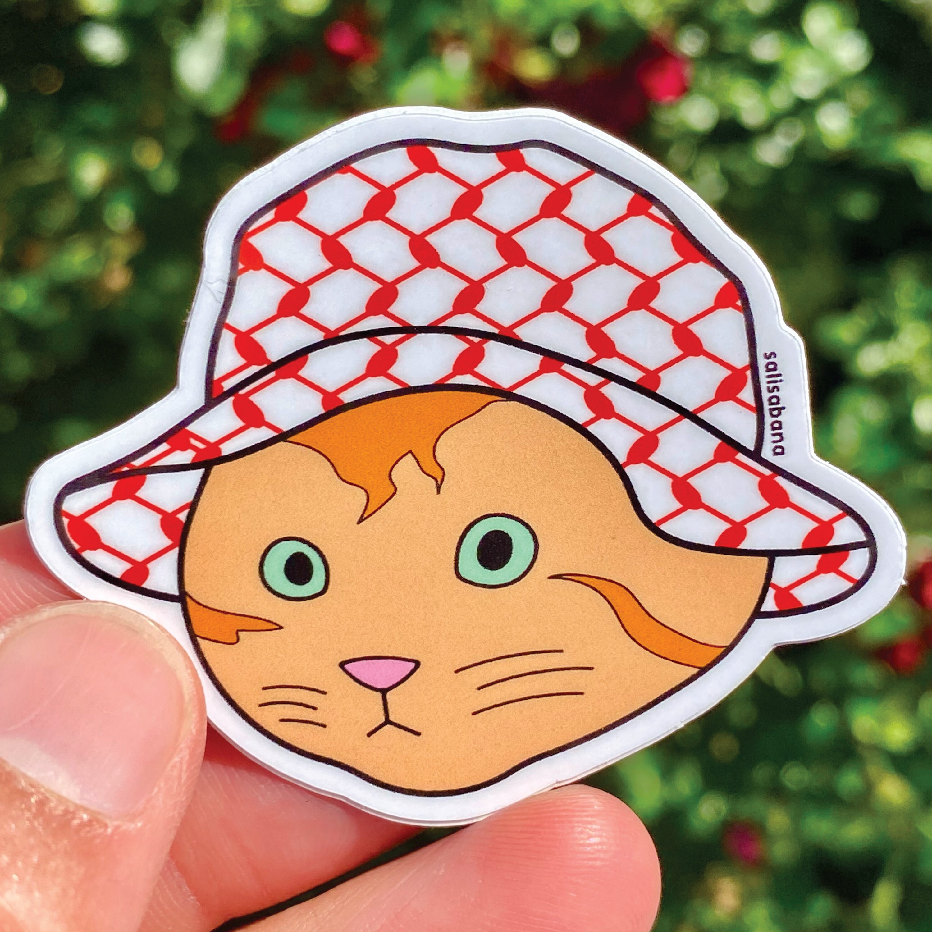Clever Cat Letterland