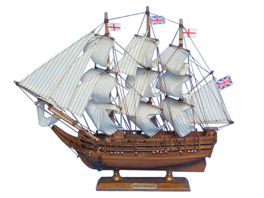 Wooden Charles Darwin's HMS Beagle Model Ship 14 - Etsy