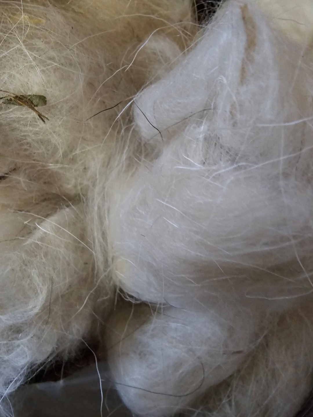 Raw Pygora and Pycazz Goat Fiber - Etsy