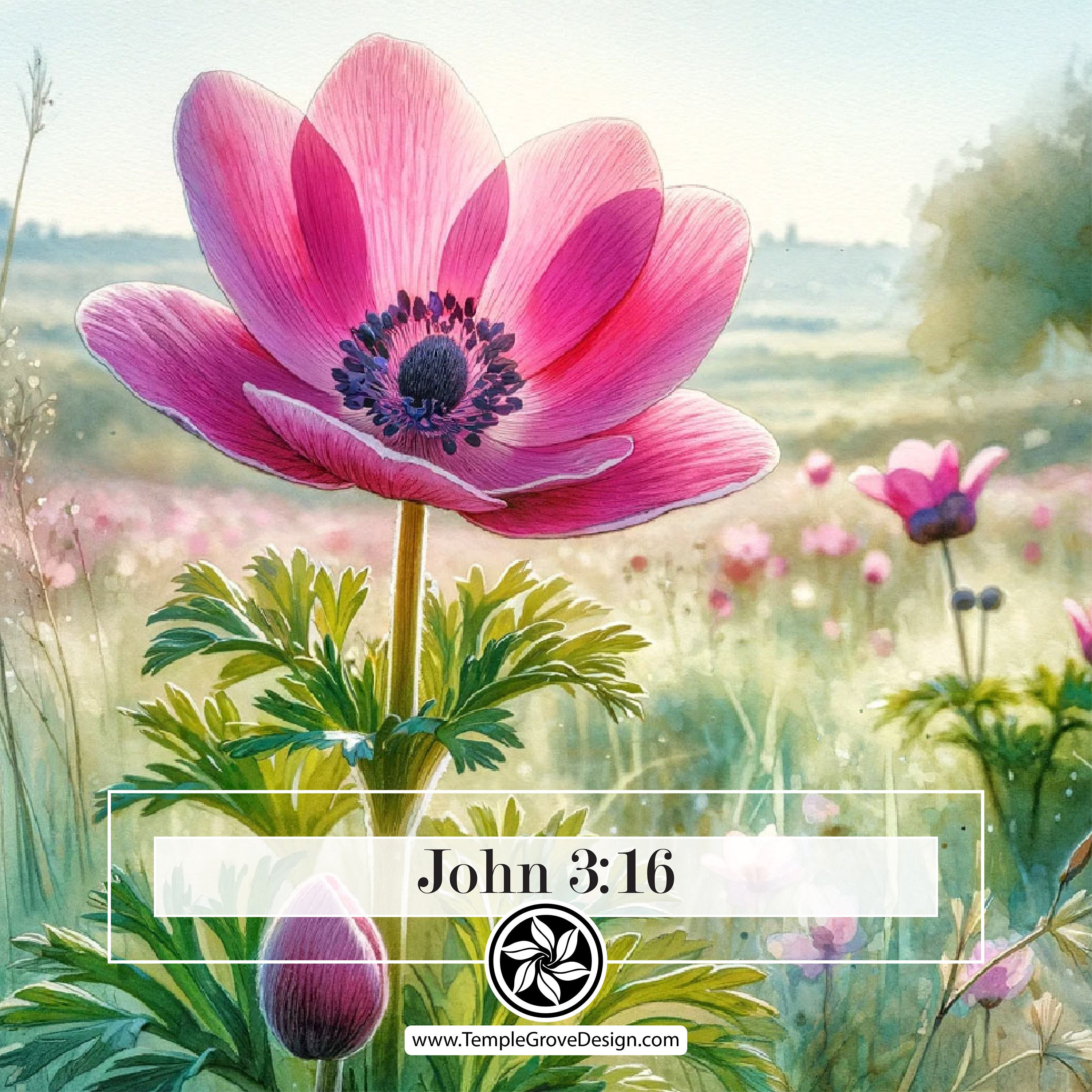 John 3:16 Christian Wall Art Large Scripture Bible Verse Print up to ...