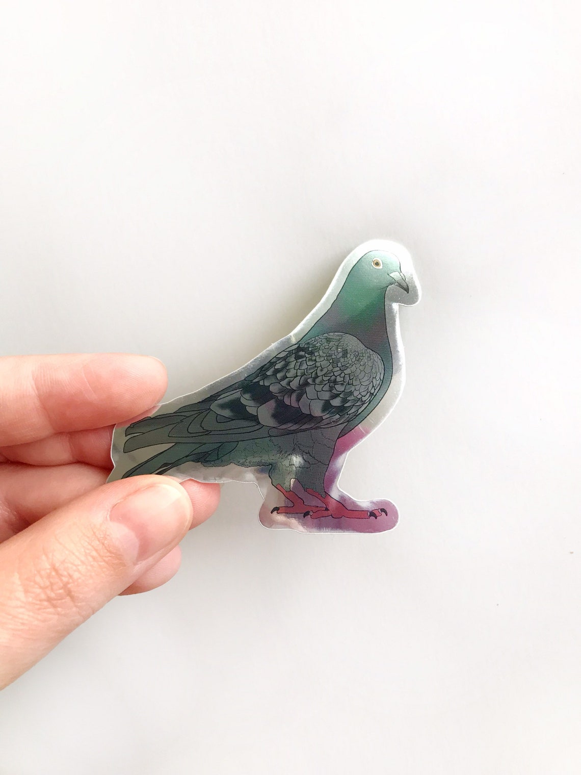 Pegatina de vinilo Shiny Pigeon | Etsy España