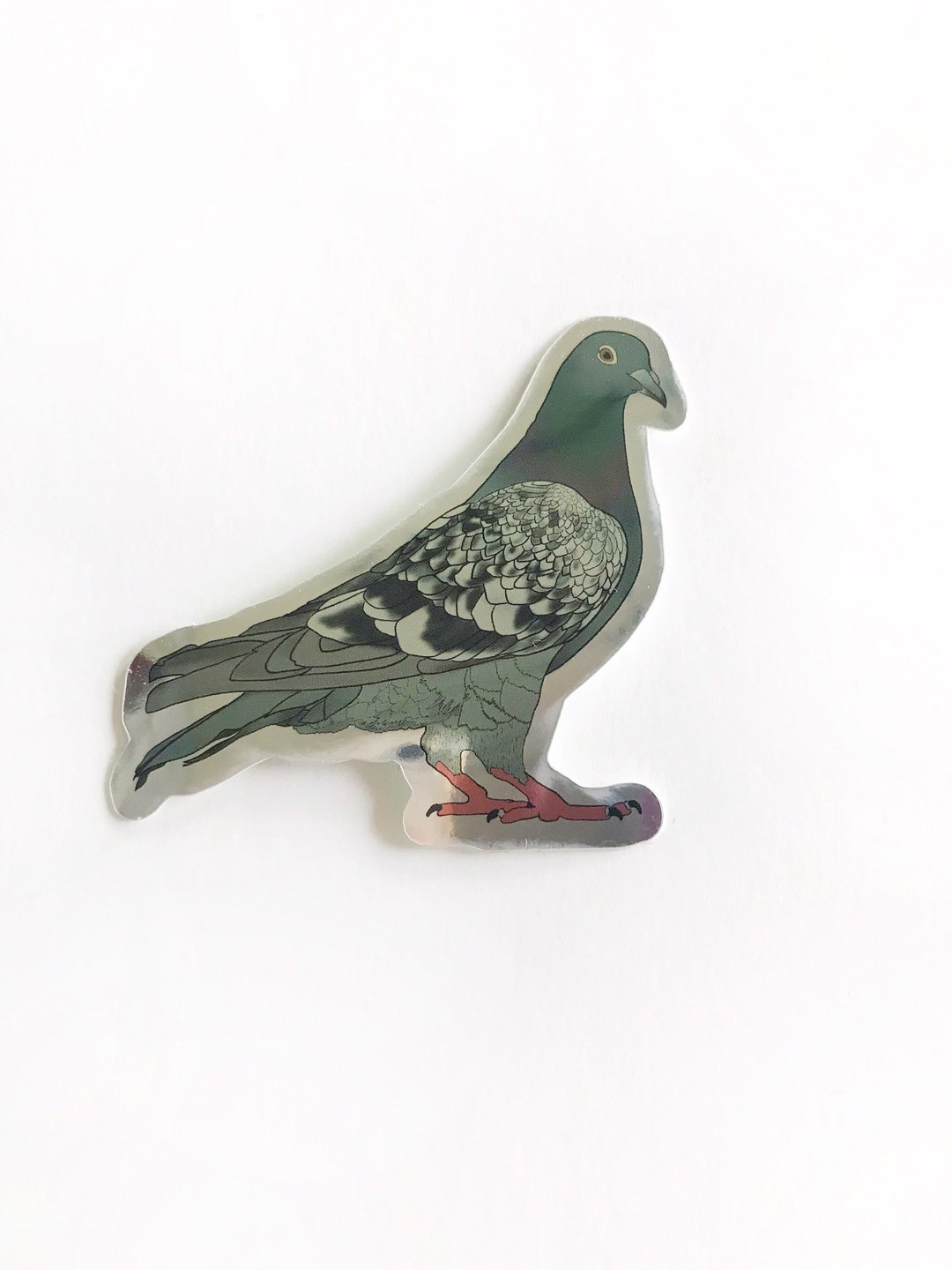 Shiny Pigeon Vinyl Sticker - Etsy