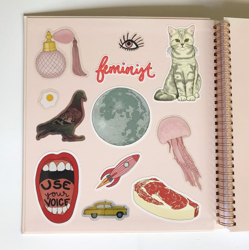 Matte Steak Vinyl Sticker - Etsy