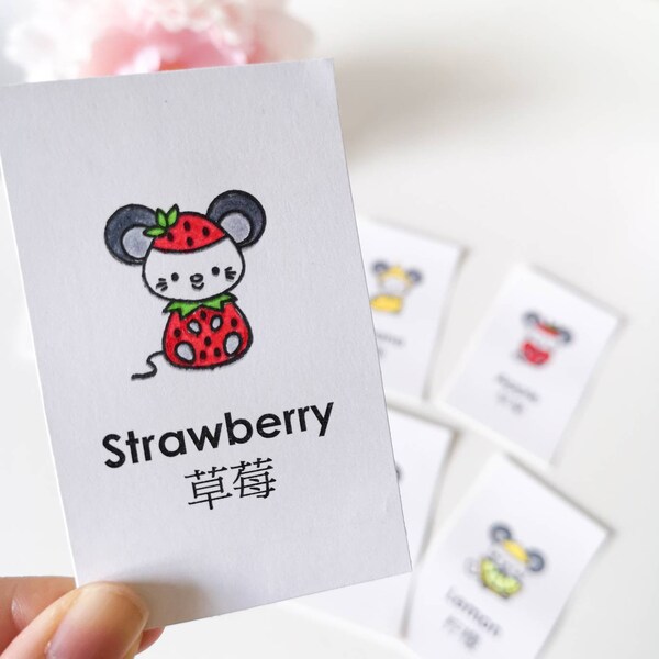 Flash Cards - Etsy Canada