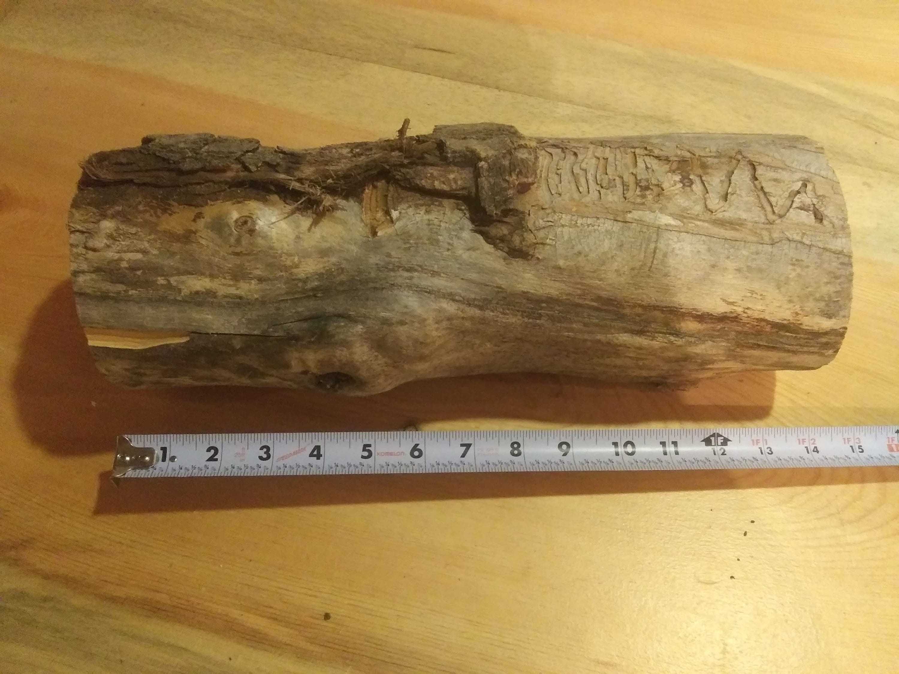 Hollow Critter, Terrarium Log, Aquarium, Reptile Log - Etsy