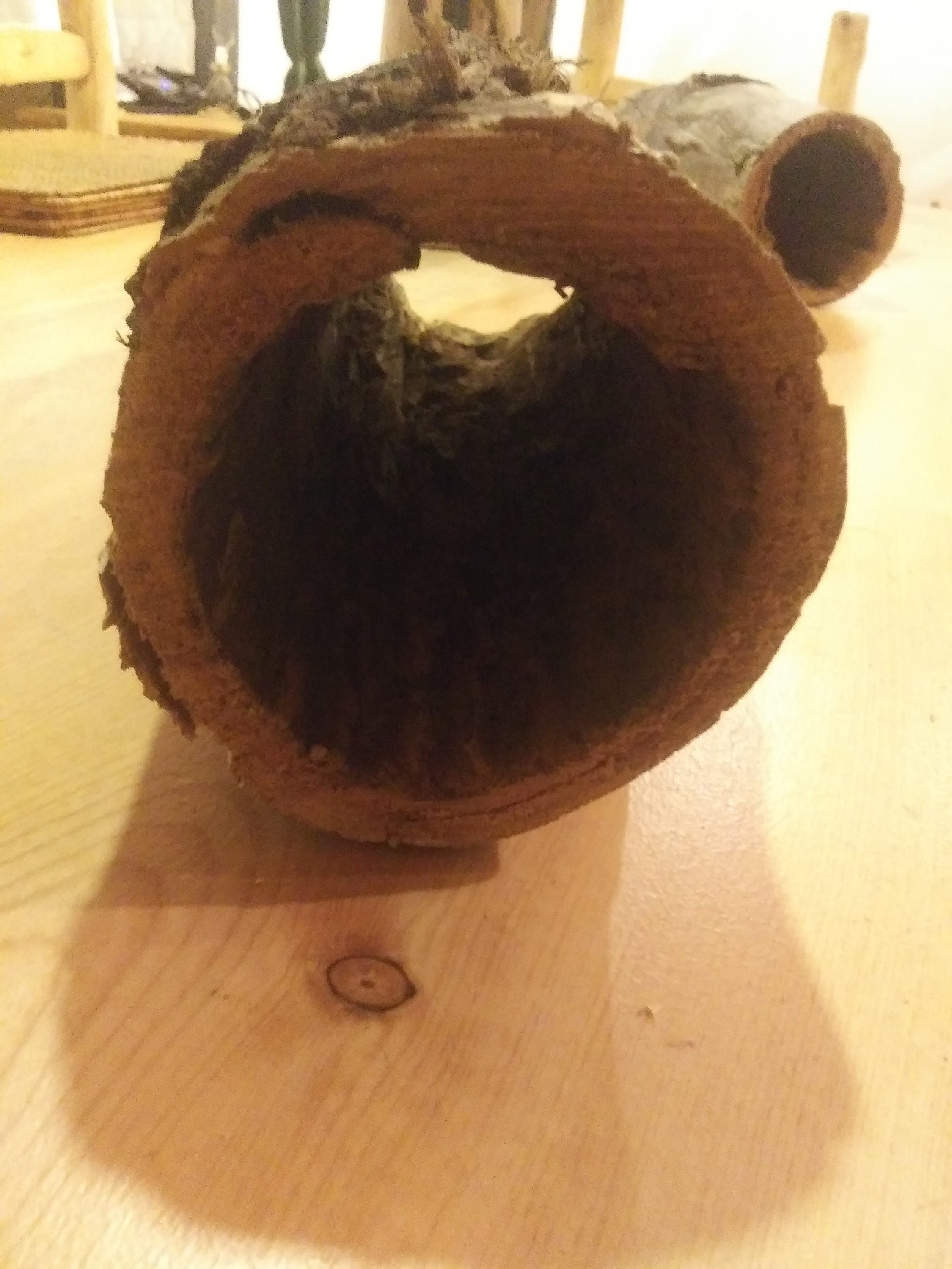 Hollow Critter, Terrarium Log, Aquarium, Reptile Log - Etsy