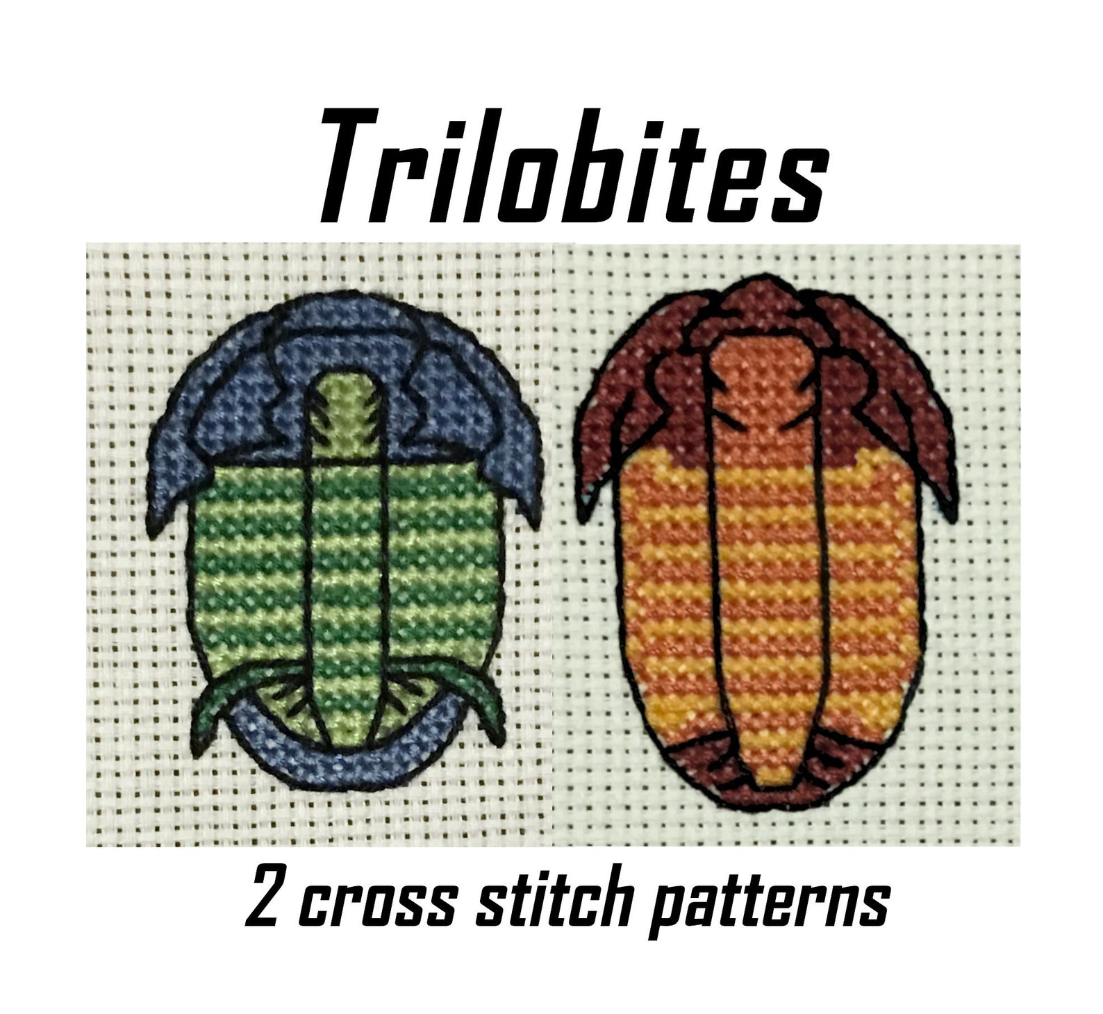 2 Trilobite Cross Stitch Pattern Digital Download - Geology ...
