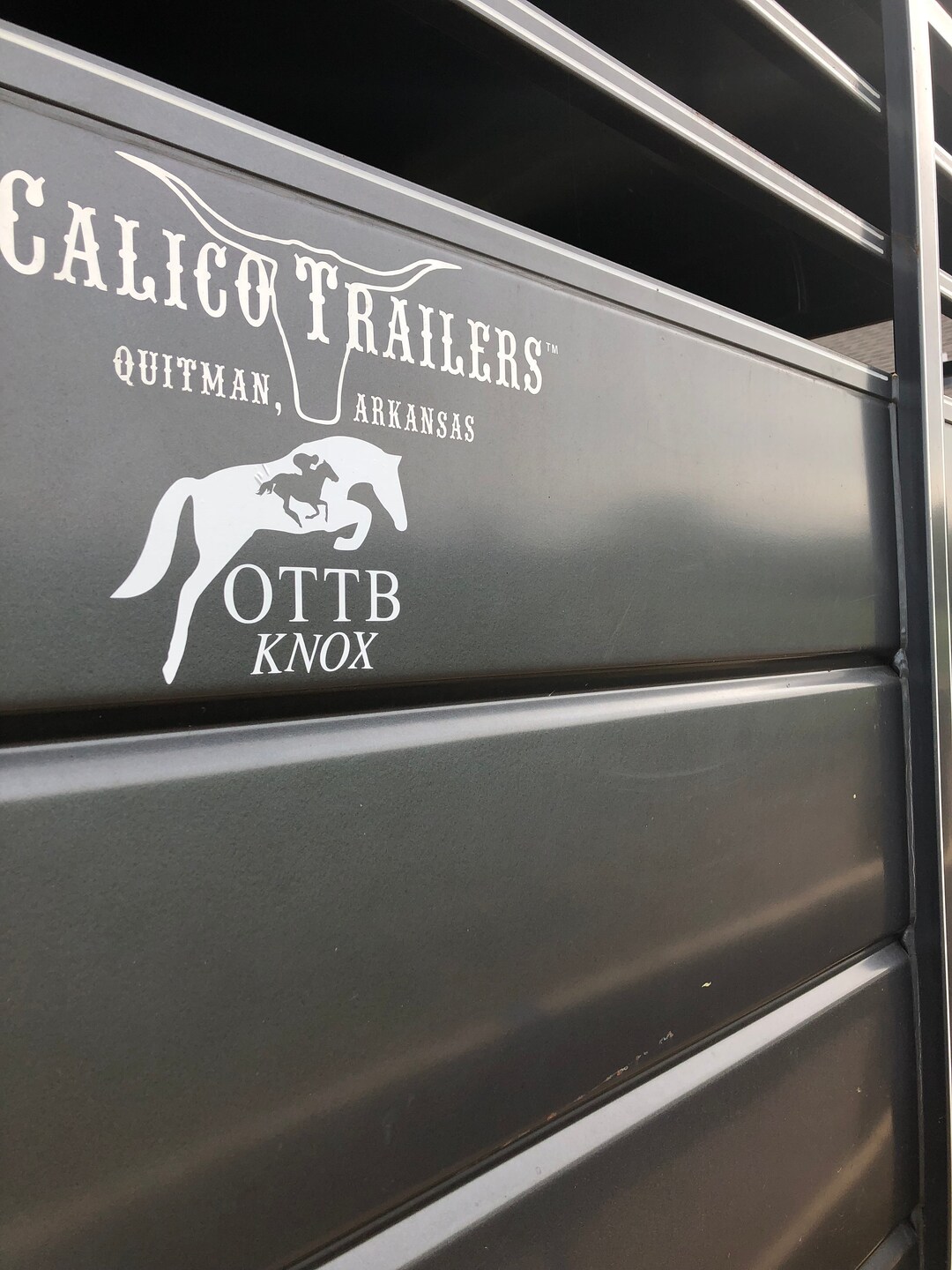 OTTB Name Decal - Etsy