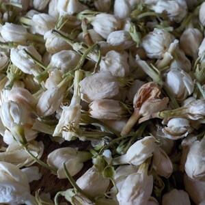 Jasmine Flower / Jasmine Flowers / Jasmine Flower Buds / Chambeli ...