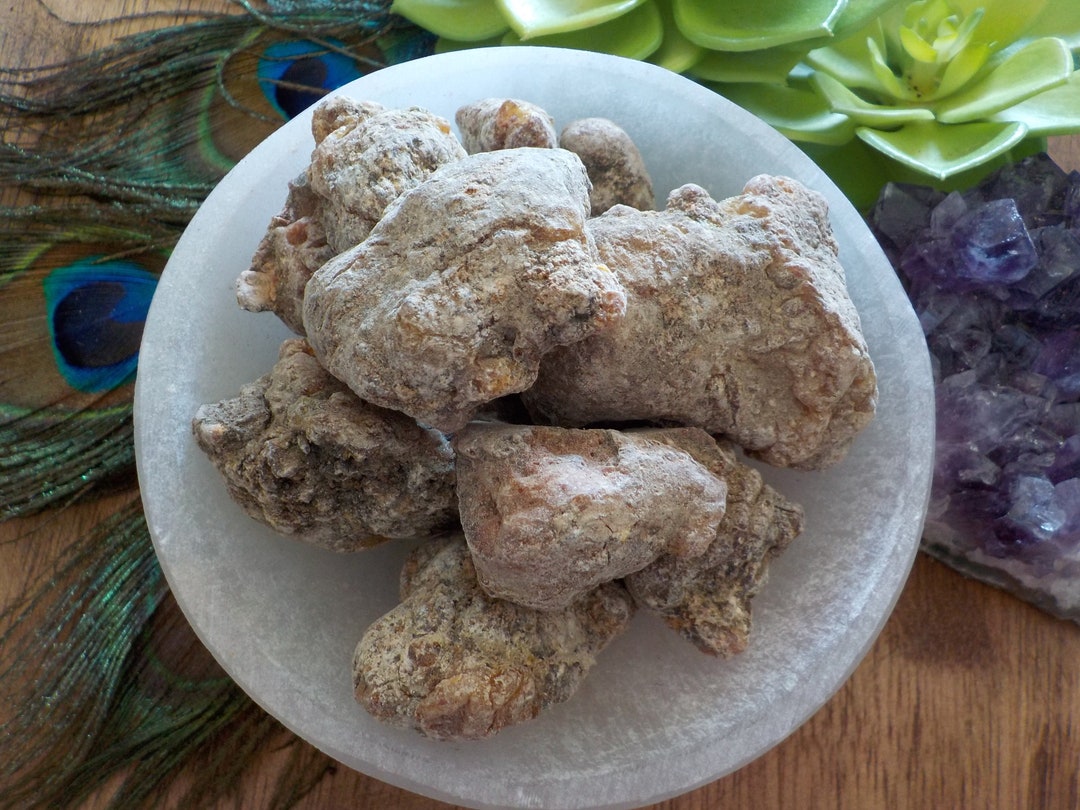 Trementina / Trementina RESIN / Pinon Tree Resin / Pinon Pine Resin ...