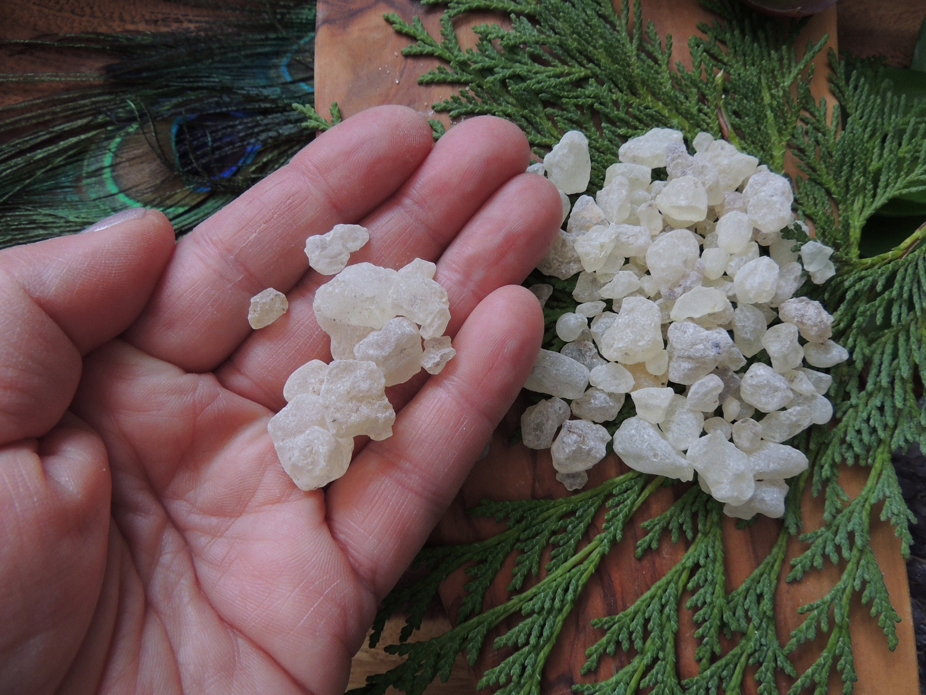 Copal Oro RESIN / Incense / Copal Oro / Pearl Sized Copal Oro - Etsy