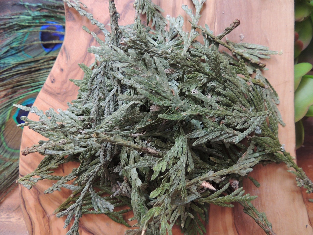 Flat Cedar / Dried Flat Cedar / Flat PADDLES or SHAKE / USA Cedar ...