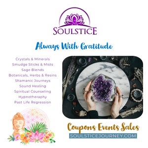 Jasmine Flower / Jasmine Flowers / Jasmine Flower Buds / Chambeli ...