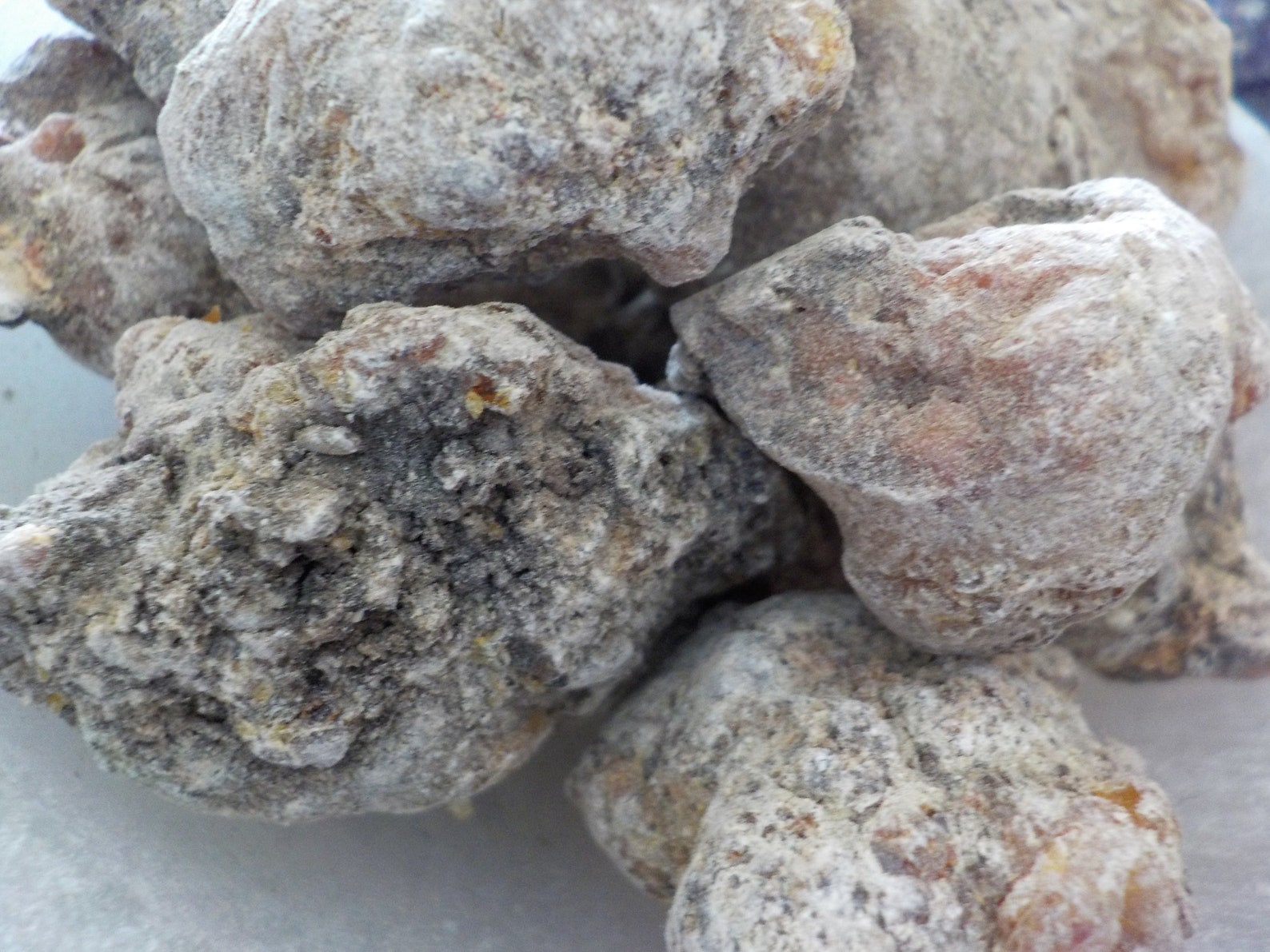 Trementina / Trementina RESIN / Pinon Tree Resin / Pinon Pine - Etsy