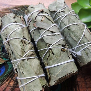 Mini Smudge Stick / Eucalyptus Smudge Stick / MINI Smudge Bundles ...