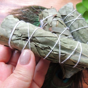 Mini Smudge Stick / Eucalyptus Smudge Stick / MINI Smudge Bundles ...