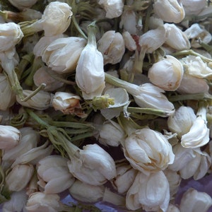 Jasmine Flower / Jasmine Flowers / Jasmine Flower Buds / Chambeli ...