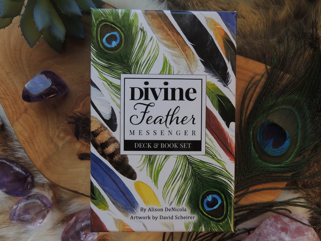 Divine Feather Messenger Oracle Deck and Book Set / Feathers / Divine ...