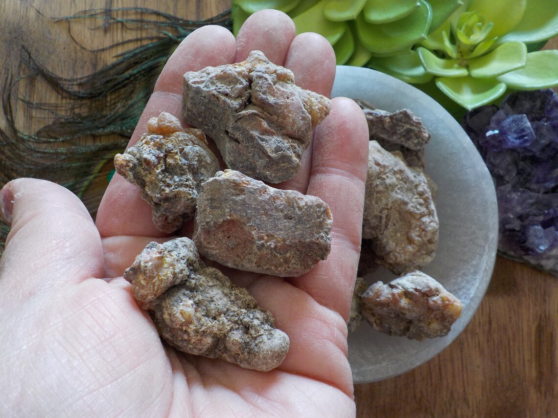 Trementina / Trementina RESIN / Pinon Tree Resin / Pinon Pine - Etsy