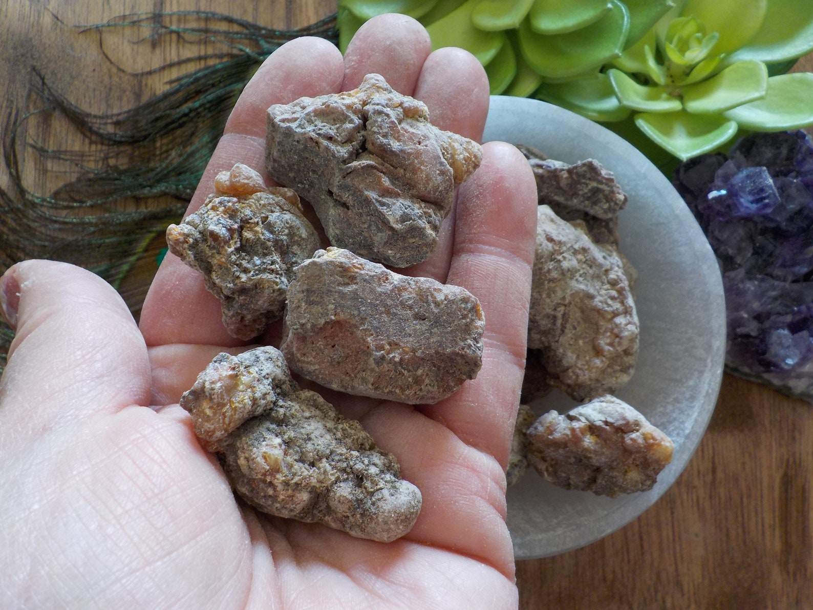 Trementina / Trementina RESIN / Pinon Tree Resin / Pinon Pine - Etsy