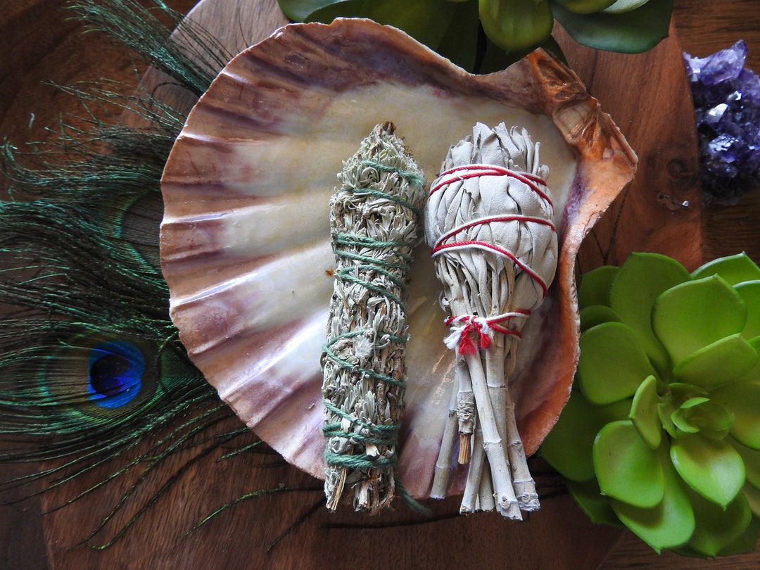 Shell / XL Lions Paw Shell / Smudge Shell / Ritual Shell / Sea Shell ...