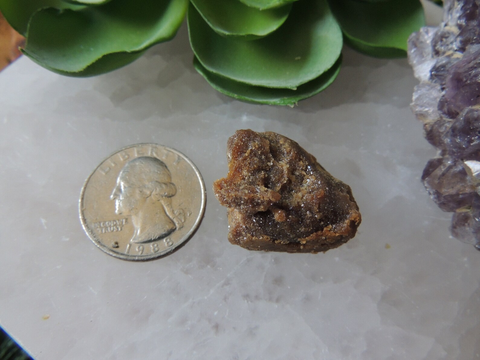 Amber Resin / 5 Gram Pack / Solid Bulk Piece / Golden Amber / - Etsy