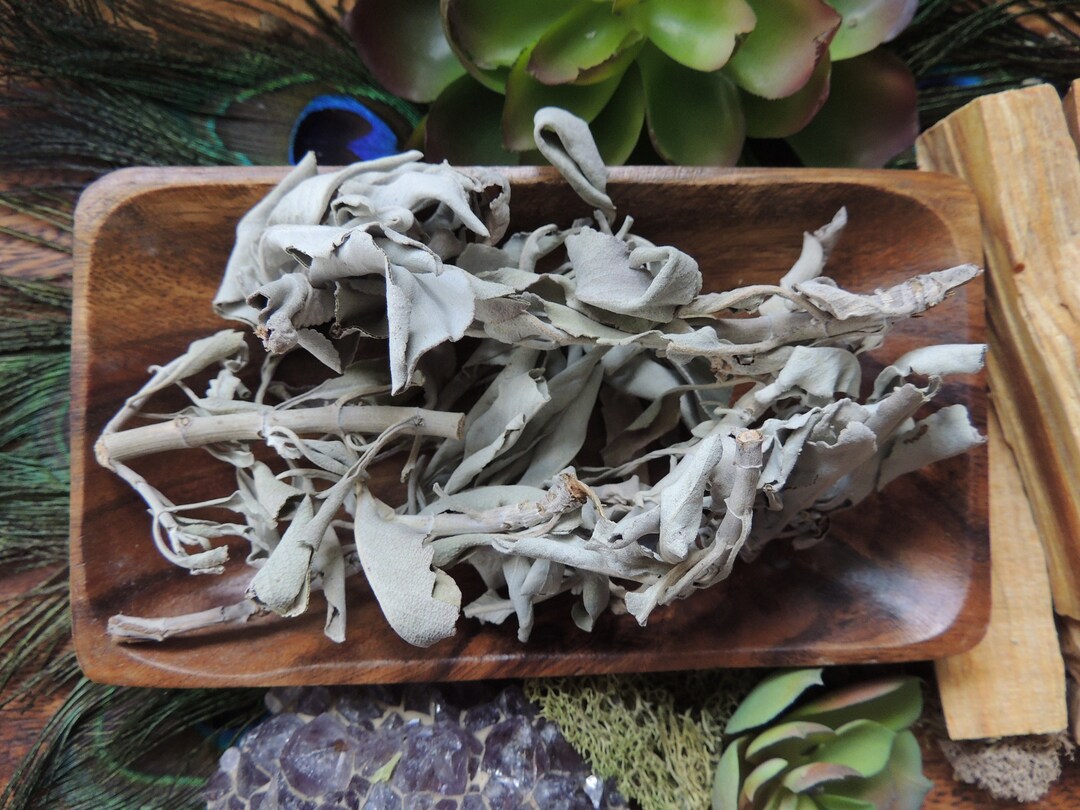 White Sage / Loose White Sage / White Sage Bulk / White Sage Cluster ...