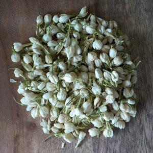 Jasmine Flower / Jasmine Flowers / Jasmine Flower Buds / Chambeli ...
