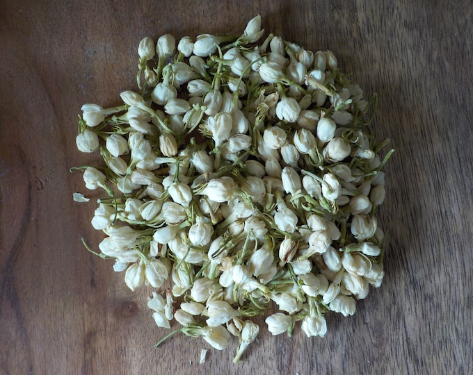 Jasmine Flower / Jasmine Flowers / Jasmine Flower Buds / Chambeli ...