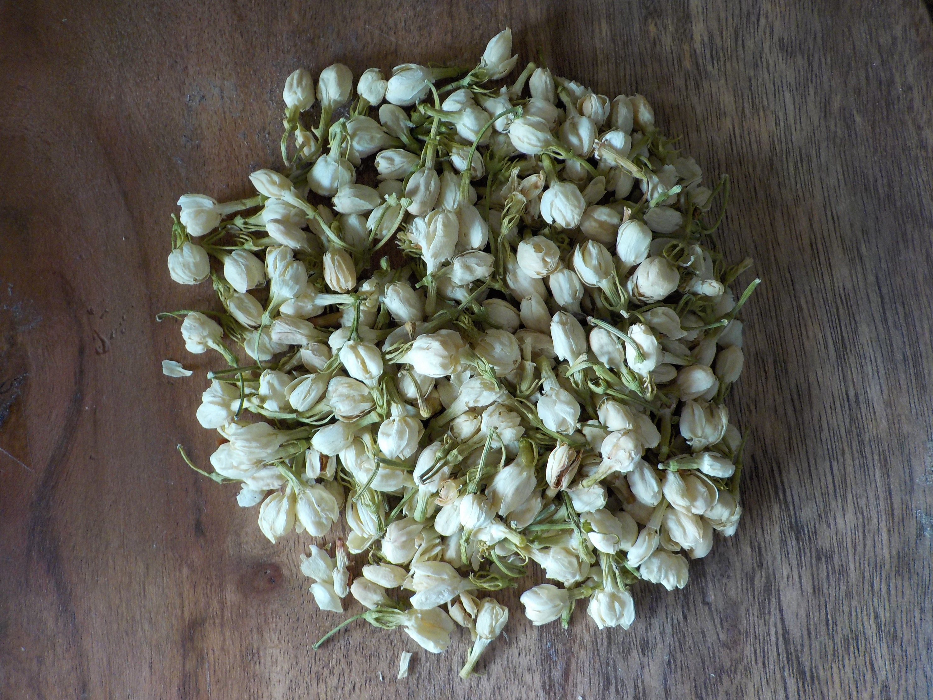 Jasmine Flower / Jasmine Flowers / Jasmine Flower Buds / | Etsy