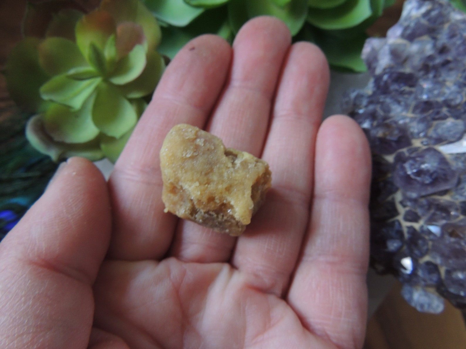 Amber Resin / 5 Gram Pack / Solid Bulk Piece / Golden Amber / - Etsy