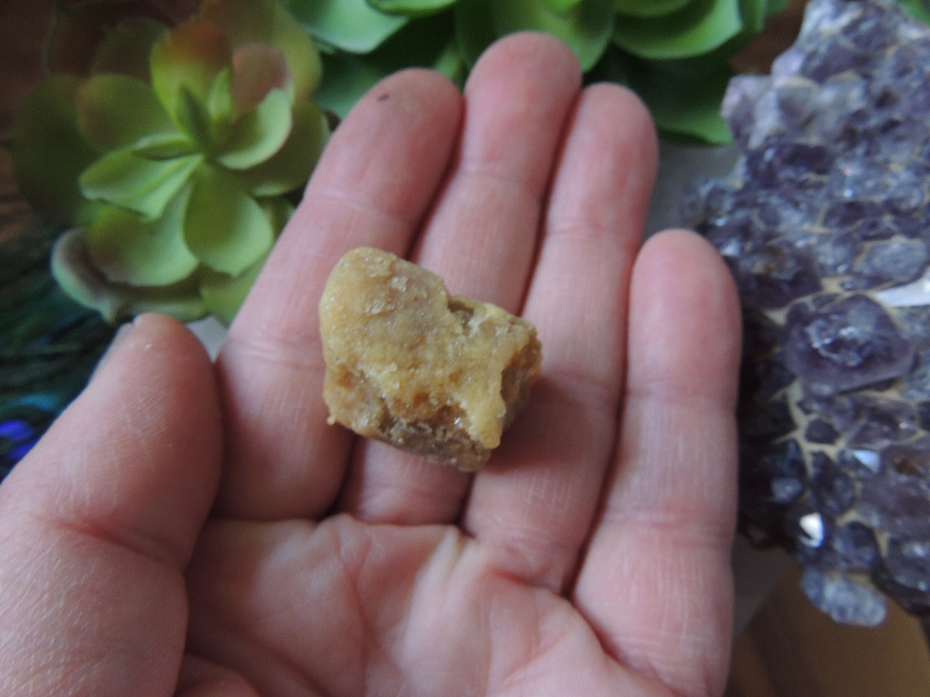 Amber Resin / 5 Gram Pack / Solid Bulk Piece / Golden Amber / - Etsy