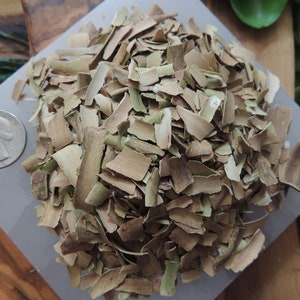 Red Willow Bark / Willow Bark / Cansasa / Native Tree / - Etsy