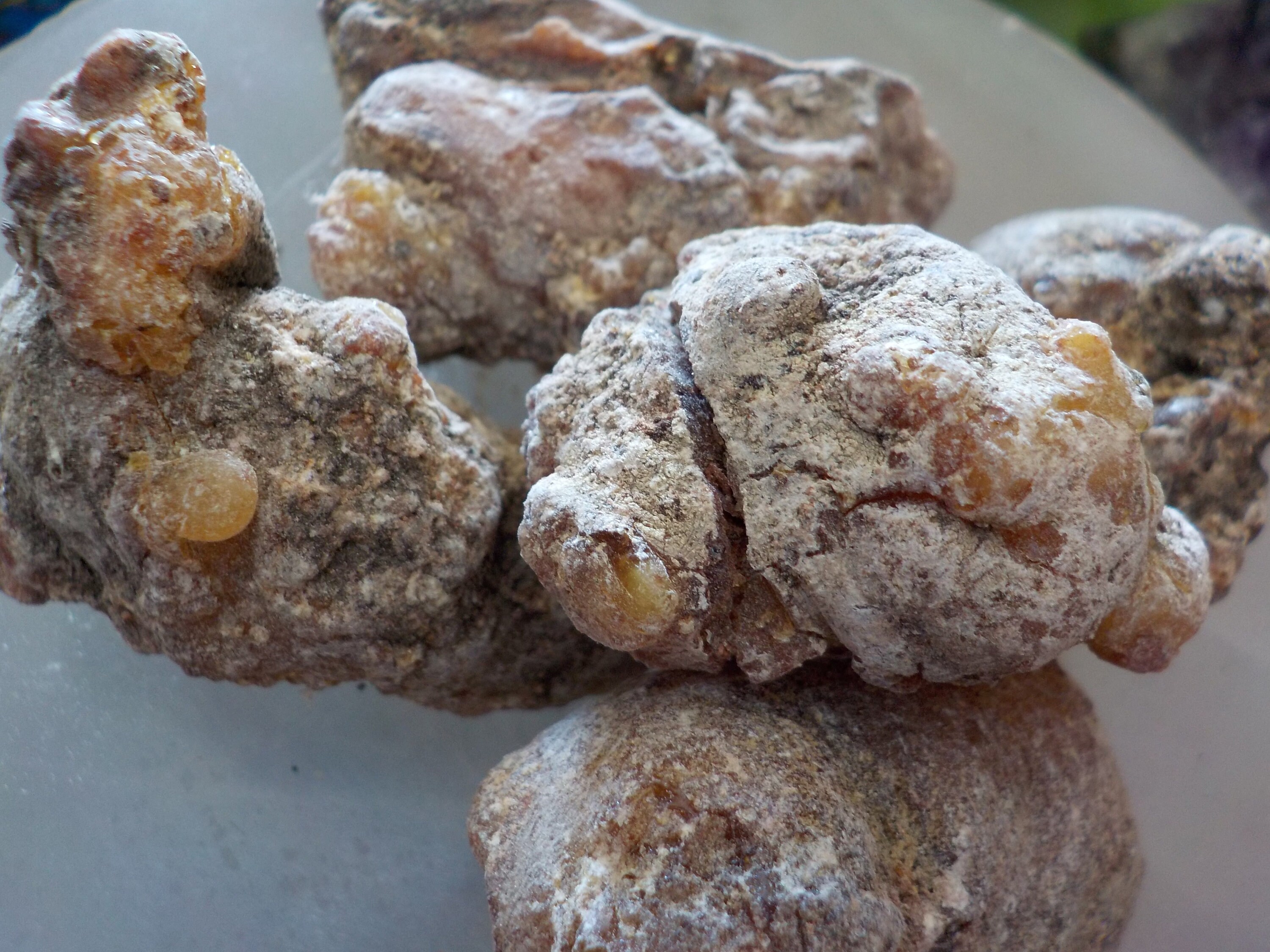 Trementina / Trementina RESIN / Pinon Tree Resin / Pinon Pine - Etsy