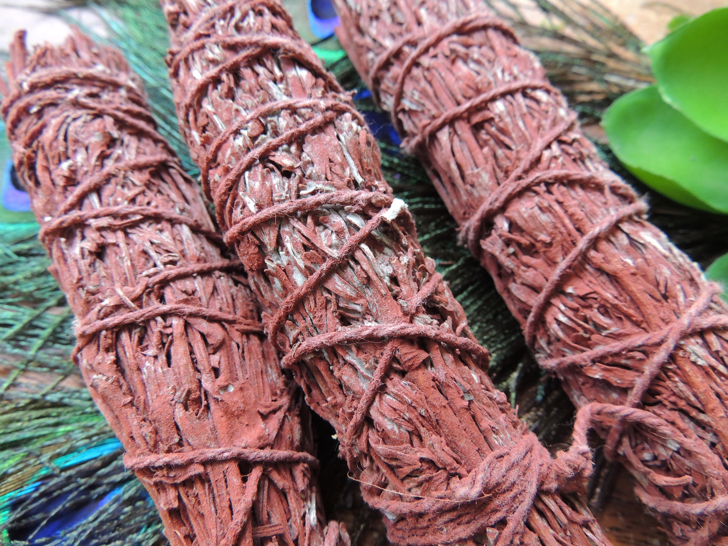 Mini Smudge Stick / Dragons Blood and Sage / MINI Smudge - Etsy