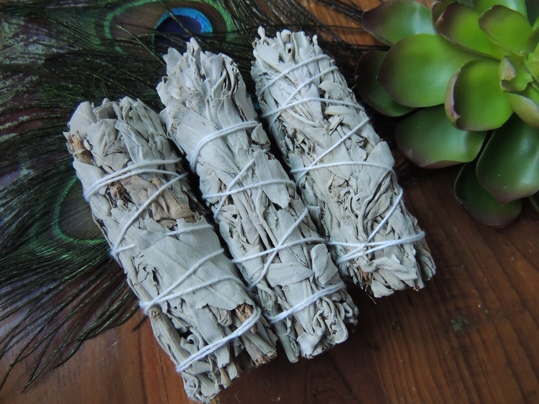 Mini Smudge Stick / TWO PACK Mini White Sage Smudge Sticks / 4 INCH ...