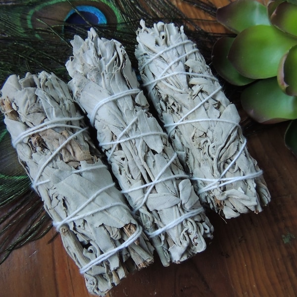 Smudge Sticks - Etsy