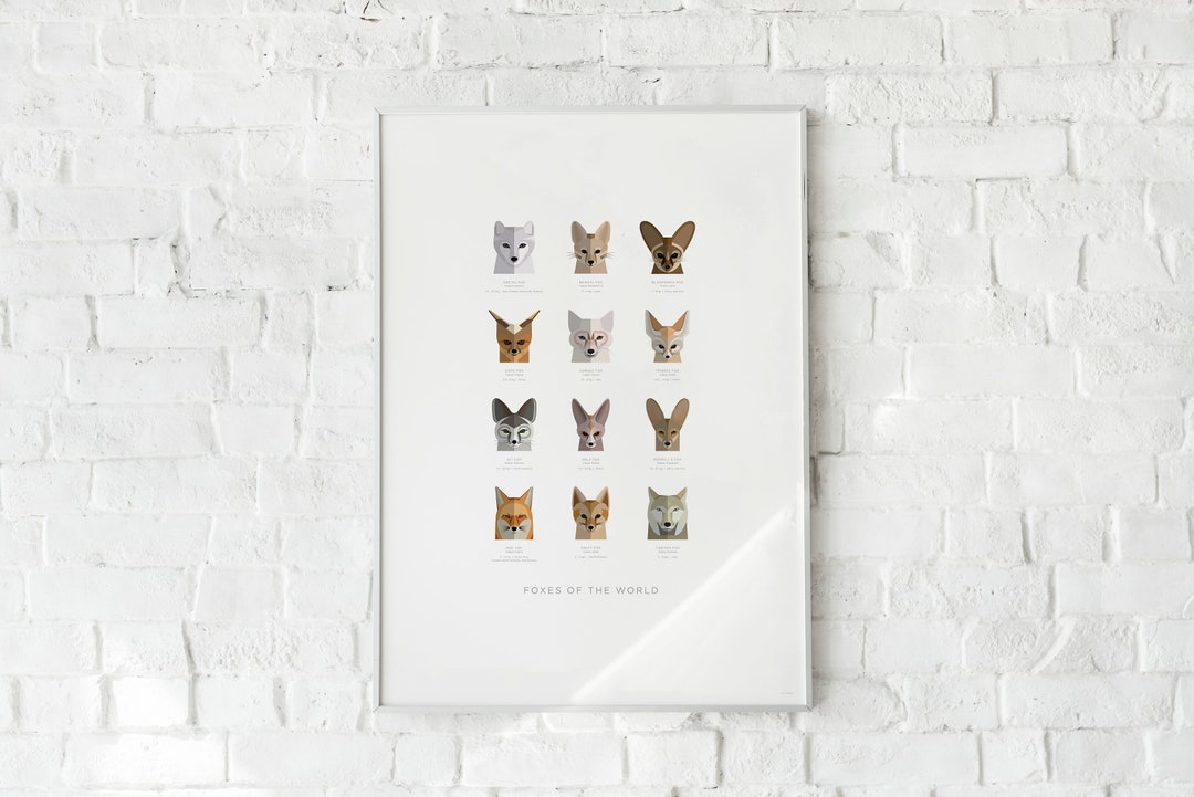 Fox Species Poster - Modern Minimalist Illustrated Wall Art - Etsy