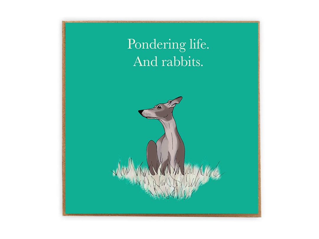 Funny Whippet Card Our Lovely Dog Greetings Card for Dog Lovers Blank ...