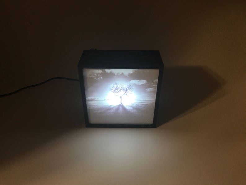 Desk Lamp Photo Box Accent Lamp Nature Lamp Table Lamp | Etsy