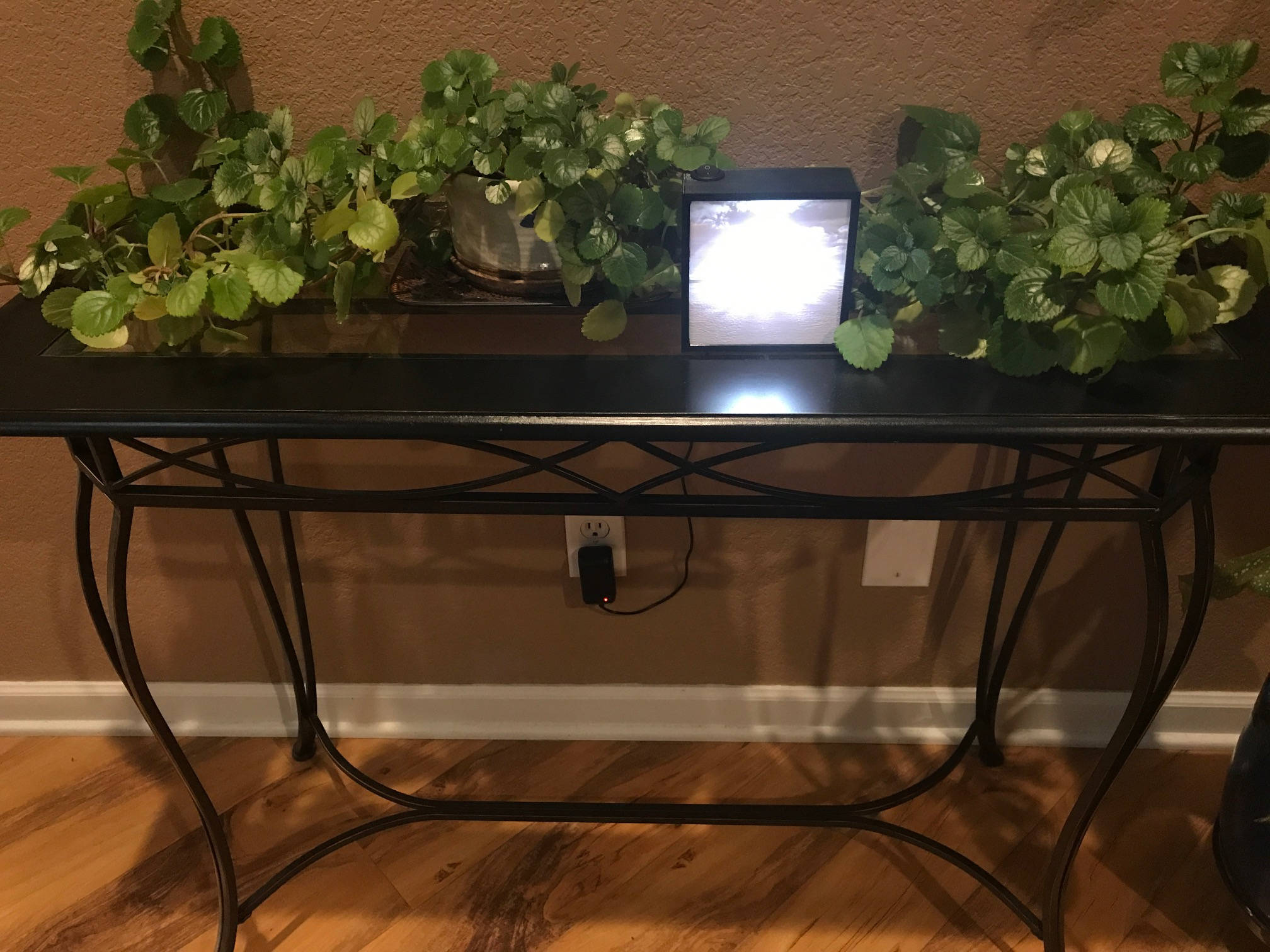 Desk Lamp Photo Box Accent Lamp Nature Lamp Table Lamp | Etsy