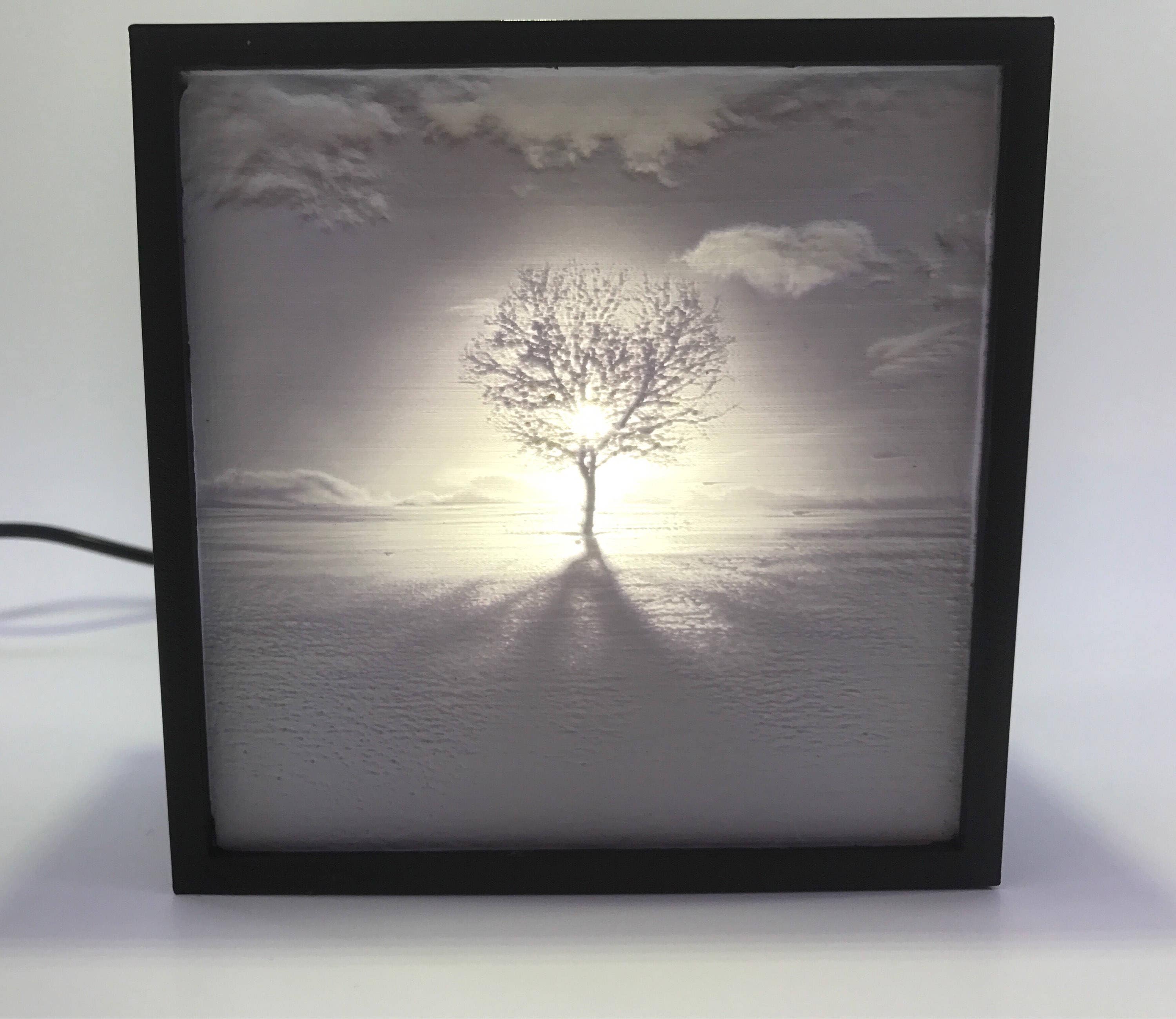 Desk Lamp | Photo Box | Accent Lamp | Nature Lamp | Table Lamp | Man ...