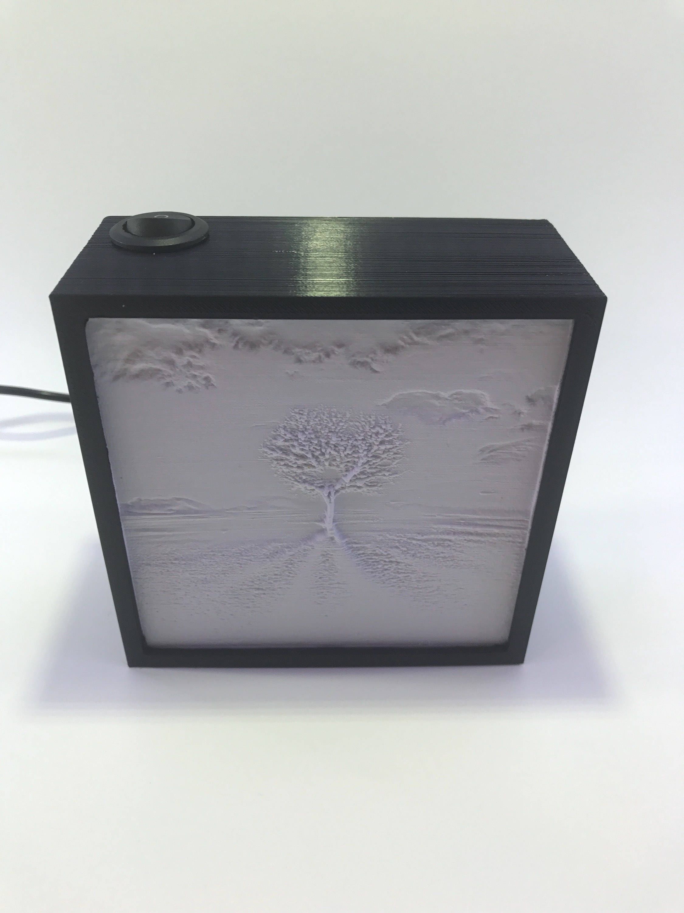 Desk Lamp Photo Box Accent Lamp Nature Lamp Table Lamp | Etsy