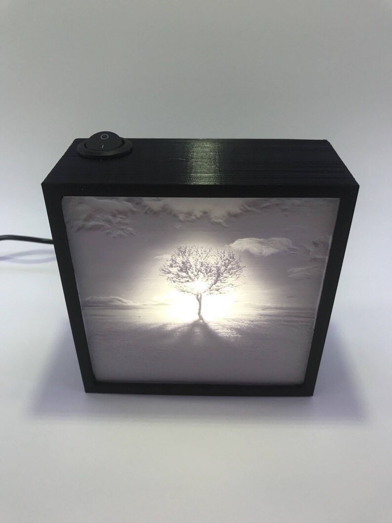 Desk Lamp | Photo Box | Accent Lamp | Nature Lamp | Table Lamp | Man ...